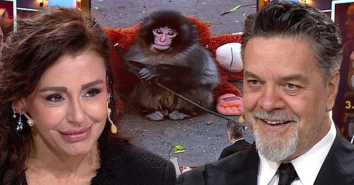 Maymun Punch, Beyaz'la Joker'de soru oldu! - Beyaz'la Joker - Özel Klipler